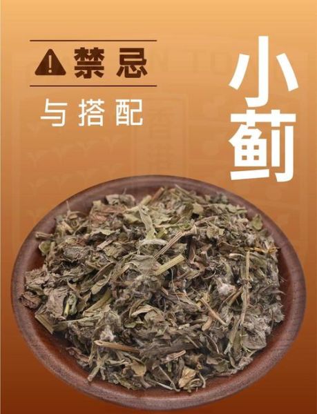 小蓟饮子组成_功效与禁忌有哪些-第3张图片-山城妙识 小蓟饮子组成_功效与禁忌有哪些-第3张图片-山城妙识
