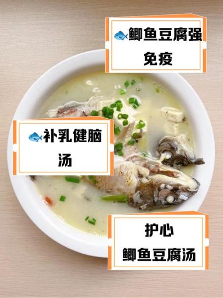 鲫鱼豆腐汤的功效与作用_鲫鱼豆腐汤适合什么人喝-第2张图片-山城妙识 鲫鱼豆腐汤的功效与作用_鲫鱼豆腐汤适合什么人喝-第2张图片-山城妙识