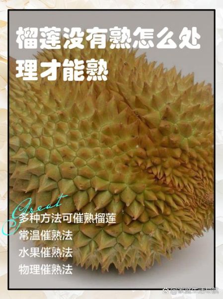 榴莲催熟剂怎么用_安全吗-第3张图片-山城妙识 榴莲催熟剂怎么用_安全吗-第3张图片-山城妙识