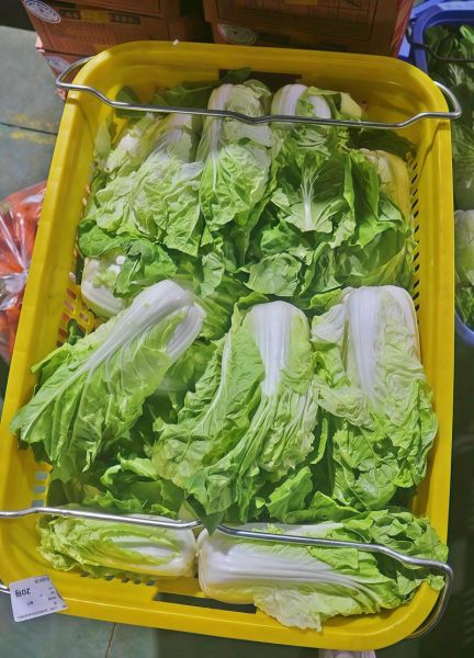 蔬菜配送公司经营范围有哪些_蔬菜配送公司能做什么-第3张图片-山城妙识