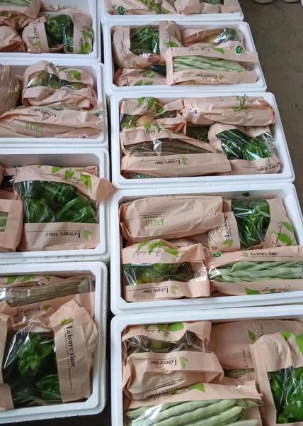 蔬菜配送公司经营范围有哪些_蔬菜配送公司能做什么-第1张图片-山城妙识