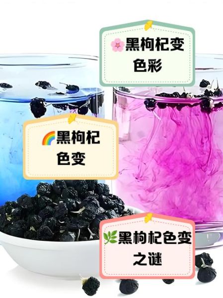 假黑枸杞泡水颜色对比_真黑枸杞泡水颜色差异-第2张图片-山城妙识 假黑枸杞泡水颜色对比_真黑枸杞泡水颜色差异-第2张图片-山城妙识