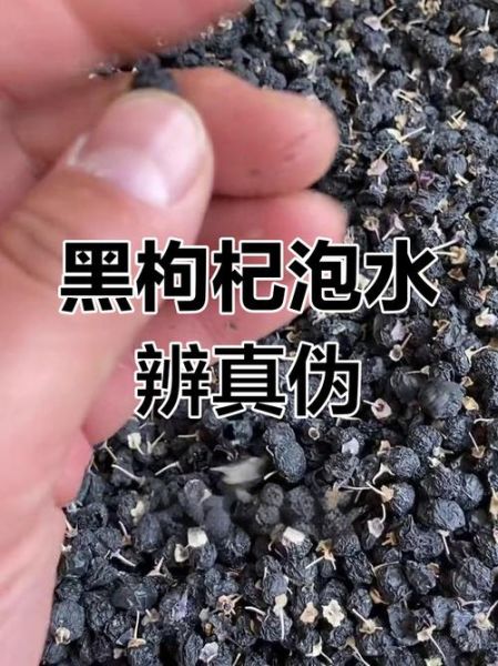 假黑枸杞泡水颜色对比_真黑枸杞泡水颜色差异-第1张图片-山城妙识 假黑枸杞泡水颜色对比_真黑枸杞泡水颜色差异-第1张图片-山城妙识