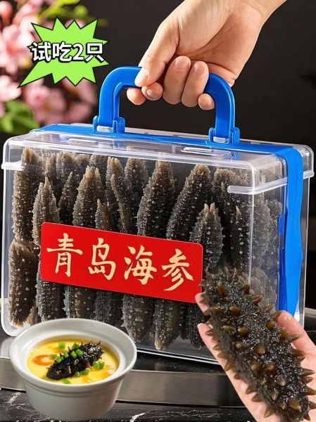 鲜海参多少钱一只_鲜海参价格怎么算-第1张图片-山城妙识