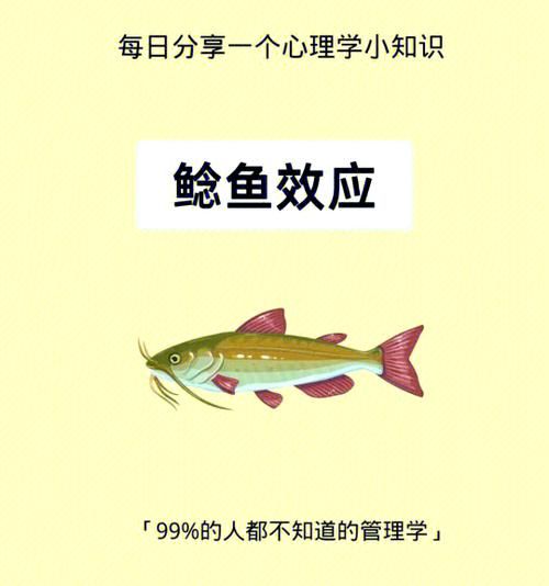 鲶鱼效应说明了什么_如何激发团队活力-第1张图片-山城妙识 鲶鱼效应说明了什么_如何激发团队活力-第1张图片-山城妙识