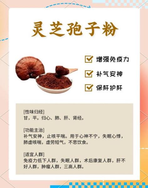 灵芝孢子粉的功效与作用价格多少_多少钱一斤才靠谱-第1张图片-山城妙识 灵芝孢子粉的功效与作用价格多少_多少钱一斤才靠谱-第1张图片-山城妙识