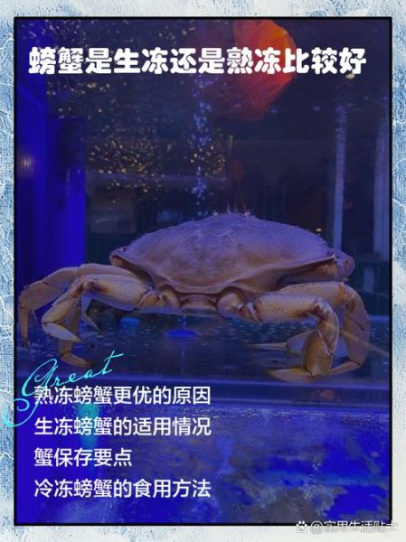 螃蟹生冻还是熟冻比较好_家庭保存技巧-第3张图片-山城妙识 螃蟹生冻还是熟冻比较好_家庭保存技巧-第3张图片-山城妙识