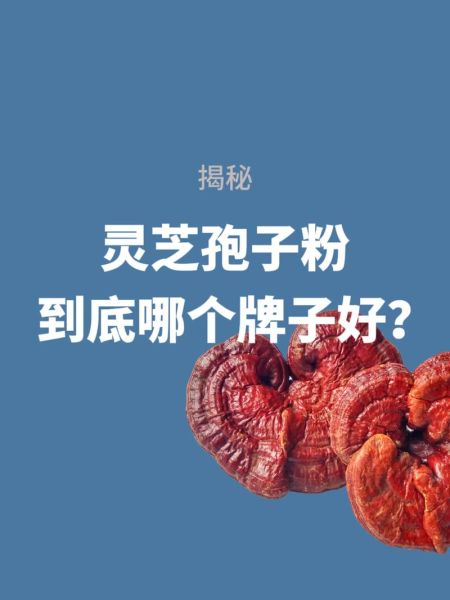 灵芝孢子粉的功效与作用价格多少_多少钱一斤才靠谱-第2张图片-山城妙识 灵芝孢子粉的功效与作用价格多少_多少钱一斤才靠谱-第2张图片-山城妙识