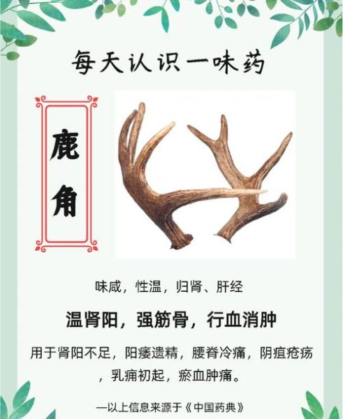 鹿角胶的功效与作用_鹿角胶适合哪些人吃-第1张图片-山城妙识 鹿角胶的功效与作用_鹿角胶适合哪些人吃-第1张图片-山城妙识
