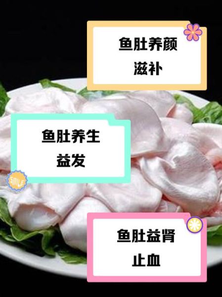 鱼肚有什么营养价值_鱼肚的功效与作用-第1张图片-山城妙识 鱼肚有什么营养价值_鱼肚的功效与作用-第1张图片-山城妙识