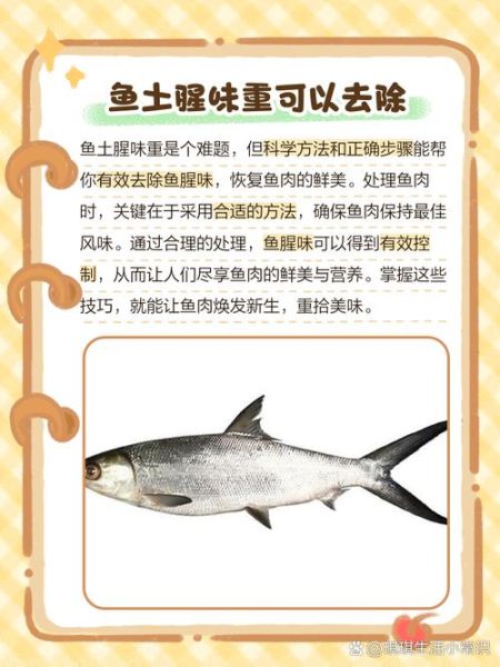 老板鱼怎么去腥_老板鱼氨气味太重怎么办-第3张图片-山城妙识 老板鱼怎么去腥_老板鱼氨气味太重怎么办-第3张图片-山城妙识