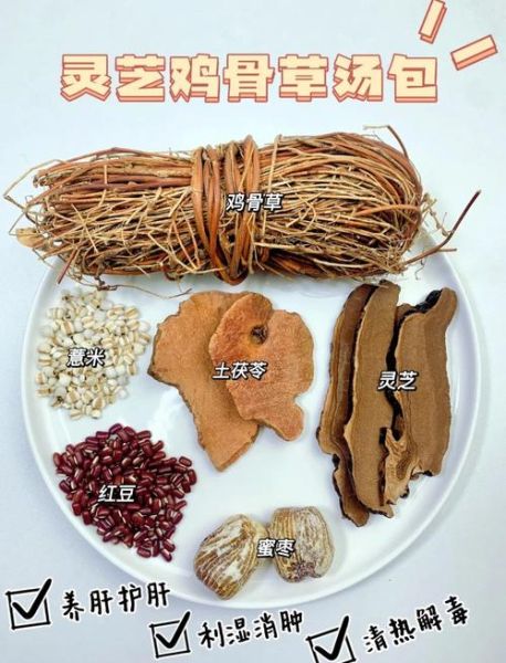 鸡骨草可以天天喝吗_长期饮用注意事项-第1张图片-山城妙识