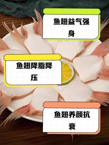 鱼翅的功效与作用_鱼翅真的有营养价值吗-第2张图片-山城妙识