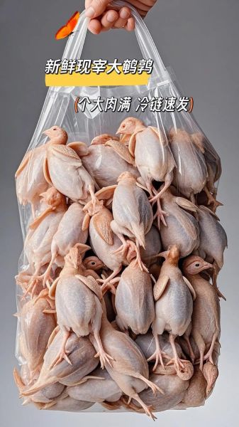 鹌鹑肉为什么没人吃_鹌鹑肉不好吃吗-第1张图片-山城妙识 鹌鹑肉为什么没人吃_鹌鹑肉不好吃吗-第1张图片-山城妙识