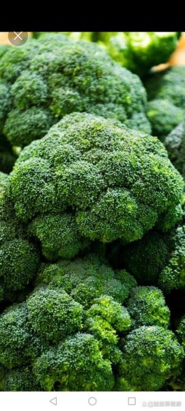 西兰花图片大全大图_西兰花高清图哪里找-第1张图片-山城妙识 西兰花图片大全大图_西兰花高清图哪里找-第1张图片-山城妙识