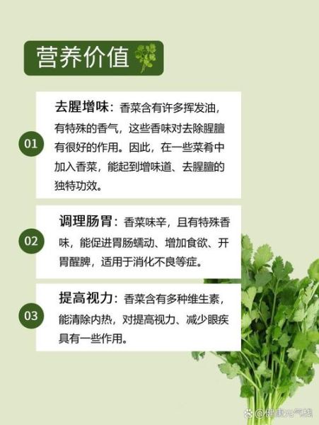 香菜的营养价值_香菜有哪些功效与作用-第2张图片-山城妙识