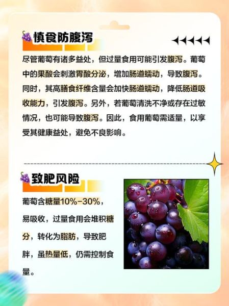 葡萄吃多了有什么坏处_一天吃多少粒合适-第1张图片-山城妙识 葡萄吃多了有什么坏处_一天吃多少粒合适-第1张图片-山城妙识