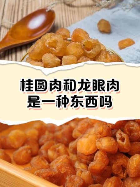 龙眼肉和桂圆肉的区别_哪个更好-第1张图片-山城妙识 龙眼肉和桂圆肉的区别_哪个更好-第1张图片-山城妙识
