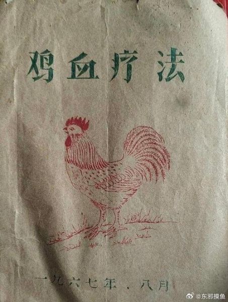 鸡血怎么写_鸡血写作技巧-第2张图片-山城妙识 鸡血怎么写_鸡血写作技巧-第2张图片-山城妙识