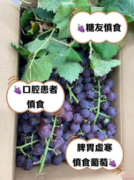 葡萄吃多了有什么坏处_一天吃多少粒合适-第3张图片-山城妙识 葡萄吃多了有什么坏处_一天吃多少粒合适-第3张图片-山城妙识