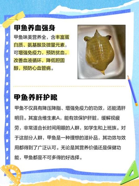 甲鱼营养价值有哪些_甲鱼功效与作用是什么-第2张图片-山城妙识 甲鱼营养价值有哪些_甲鱼功效与作用是什么-第2张图片-山城妙识