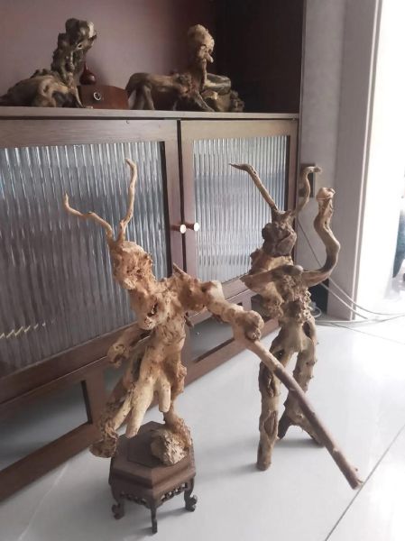 香椿树根雕图片100图_如何鉴别真假-第3张图片-山城妙识 香椿树根雕图片100图_如何鉴别真假-第3张图片-山城妙识