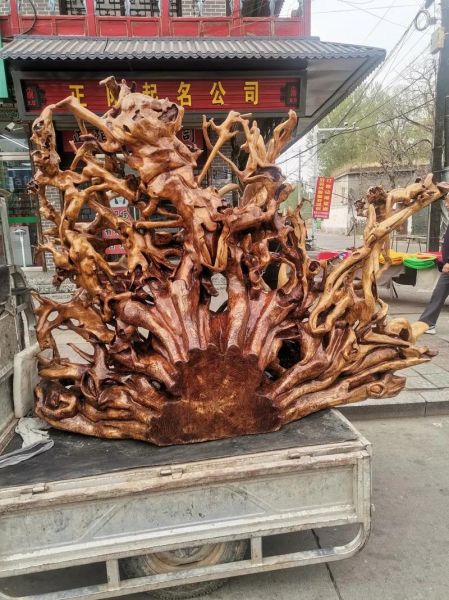 香椿树根雕图片100图_如何鉴别真假-第1张图片-山城妙识 香椿树根雕图片100图_如何鉴别真假-第1张图片-山城妙识