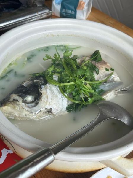 鱼头汤怎么做才白_鱼头汤做法及步骤-第1张图片-山城妙识 鱼头汤怎么做才白_鱼头汤做法及步骤-第1张图片-山城妙识