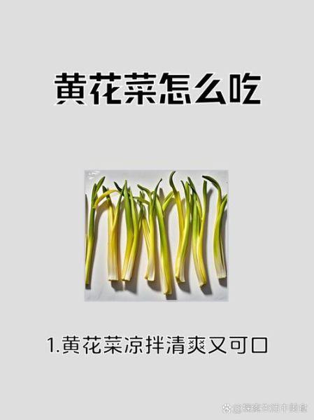 黄花菜怎么吃才安全_黄花菜中毒怎么办-第3张图片-山城妙识 黄花菜怎么吃才安全_黄花菜中毒怎么办-第3张图片-山城妙识