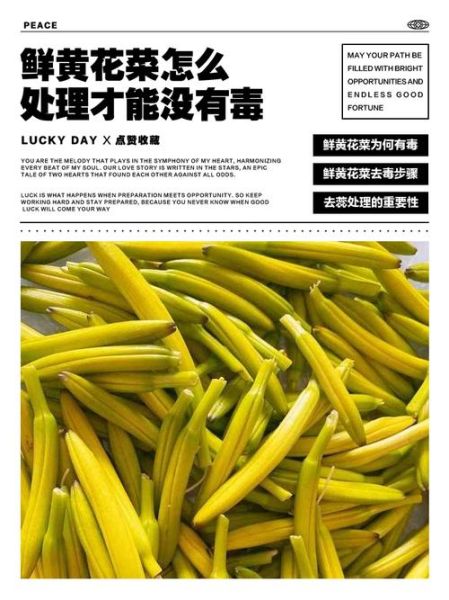 黄花菜怎么吃才安全_黄花菜中毒怎么办-第1张图片-山城妙识 黄花菜怎么吃才安全_黄花菜中毒怎么办-第1张图片-山城妙识