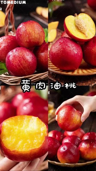 黄油桃的营养价值_黄油桃热量高吗-第3张图片-山城妙识