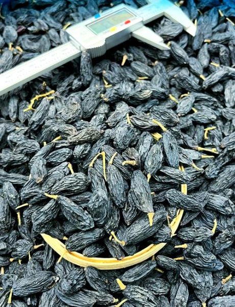 黑加仑葡萄干的功效与作用_黑加仑葡萄干一天吃多少合适-第1张图片-山城妙识