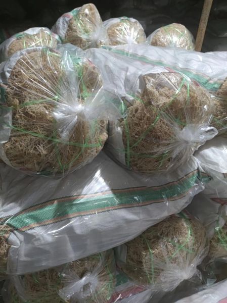 龙须菜和石花菜的区别_龙须菜石花菜的功效与作用-第3张图片-山城妙识