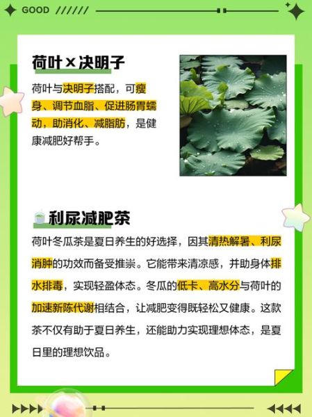 荷叶茶配方_荷叶茶怎么喝减肥-第3张图片-山城妙识 荷叶茶配方_荷叶茶怎么喝减肥-第3张图片-山城妙识