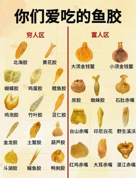 食用明胶用量多少合适_食用明胶怎么用-第1张图片-山城妙识 食用明胶用量多少合适_食用明胶怎么用-第1张图片-山城妙识