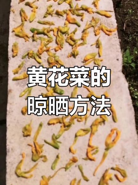 黄花菜直接晒干能吃么_黄花菜晒干后怎么处理-第1张图片-山城妙识