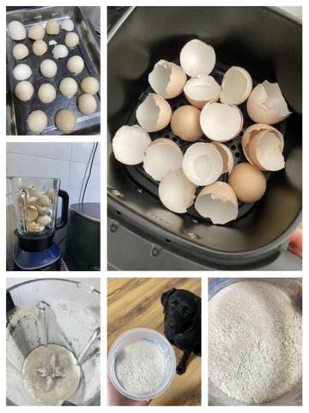 鸡蛋壳补钙效果好吗_鸡蛋壳粉怎么做-第1张图片-山城妙识 鸡蛋壳补钙效果好吗_鸡蛋壳粉怎么做-第1张图片-山城妙识