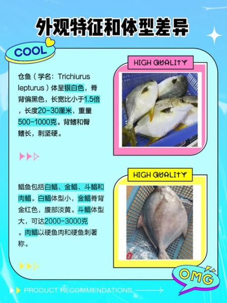 鲳鱼种类图片大全_如何区分常见鲳鱼品种-第2张图片-山城妙识