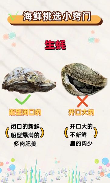 生蚝怎么挑选_生蚝怎么做好吃-第3张图片-山城妙识 生蚝怎么挑选_生蚝怎么做好吃-第3张图片-山城妙识