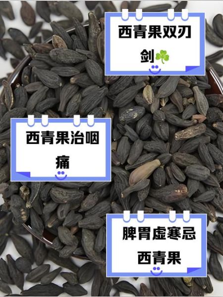 青果是什么_青果的功效与作用-第2张图片-山城妙识 青果是什么_青果的功效与作用-第2张图片-山城妙识