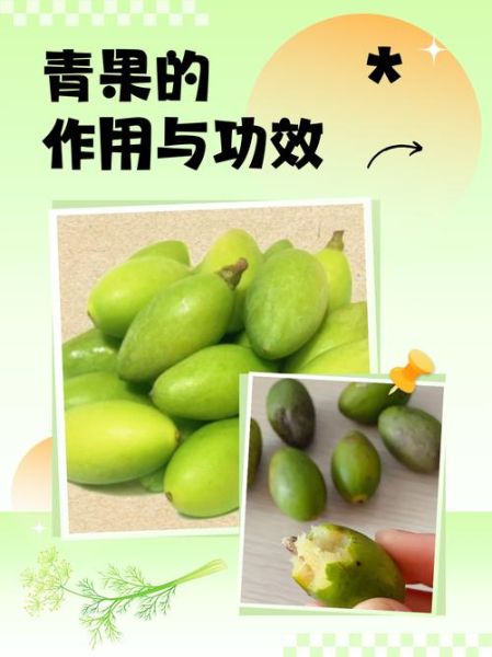 青果是什么_青果的功效与作用-第1张图片-山城妙识 青果是什么_青果的功效与作用-第1张图片-山城妙识