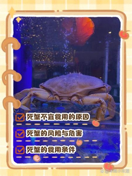 大闸蟹死了能不能吃_死蟹食用安全-第1张图片-山城妙识 大闸蟹死了能不能吃_死蟹食用安全-第1张图片-山城妙识