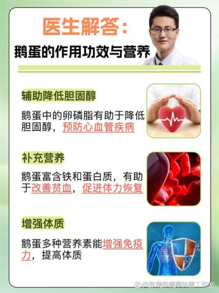 鹅蛋的功效与作用_什么人不能吃鹅蛋-第3张图片-山城妙识 鹅蛋的功效与作用_什么人不能吃鹅蛋-第3张图片-山城妙识