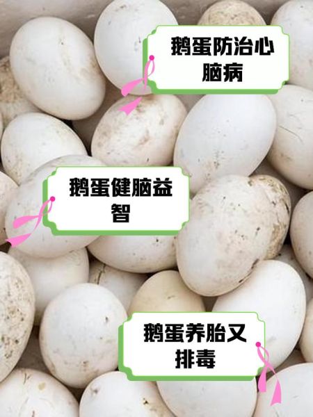 鹅蛋的功效与作用_什么人不能吃鹅蛋-第2张图片-山城妙识 鹅蛋的功效与作用_什么人不能吃鹅蛋-第2张图片-山城妙识