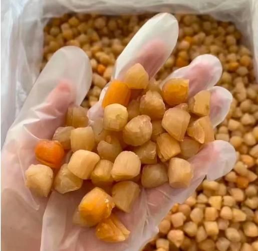 鲜贝是什么做的_鲜贝和干贝区别在哪-第1张图片-山城妙识 鲜贝是什么做的_鲜贝和干贝区别在哪-第1张图片-山城妙识