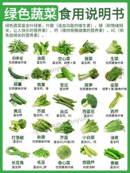 绿色蔬菜有哪些_哪些蔬菜最健康-第1张图片-山城妙识 绿色蔬菜有哪些_哪些蔬菜最健康-第1张图片-山城妙识