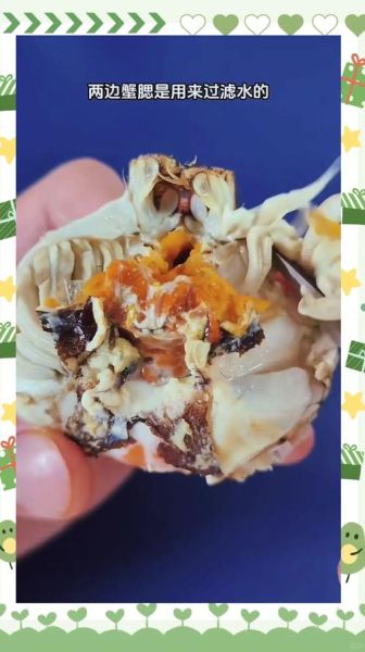 螃蟹腿上的毛怎么去除_螃蟹腿毛要不要剪掉-第3张图片-山城妙识 螃蟹腿上的毛怎么去除_螃蟹腿毛要不要剪掉-第3张图片-山城妙识