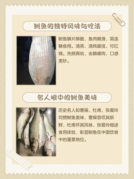 鲥鱼多刺小说讲了什么_鲥鱼多刺小说结局解析-第2张图片-山城妙识 鲥鱼多刺小说讲了什么_鲥鱼多刺小说结局解析-第2张图片-山城妙识