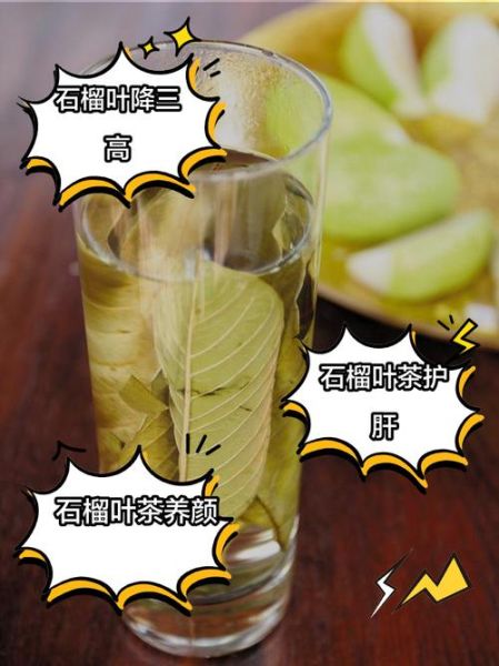 番石榴叶子煮水有什么功效_番石榴叶子煮水能降血糖吗-第1张图片-山城妙识 番石榴叶子煮水有什么功效_番石榴叶子煮水能降血糖吗-第1张图片-山城妙识