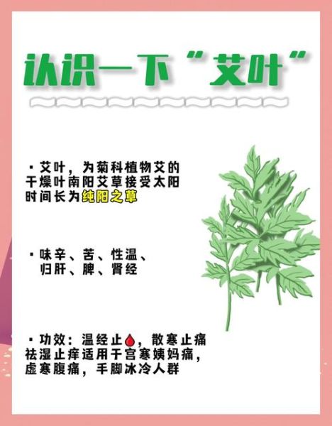 艾草的功效与作用_艾草的主治功能有哪些-第2张图片-山城妙识 艾草的功效与作用_艾草的主治功能有哪些-第2张图片-山城妙识
